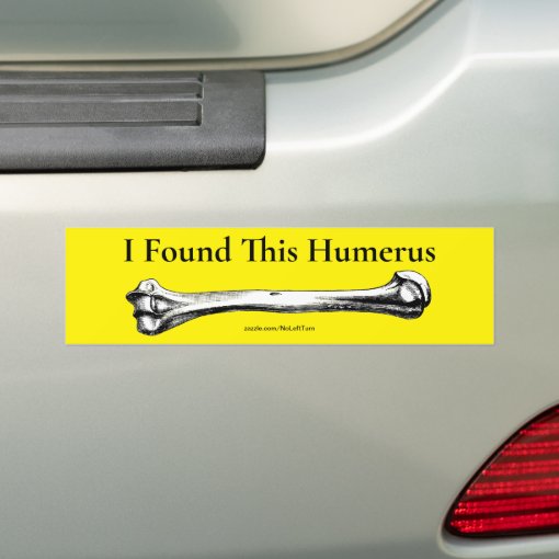 I Found This Humerus Bumper Sticker | Zazzle