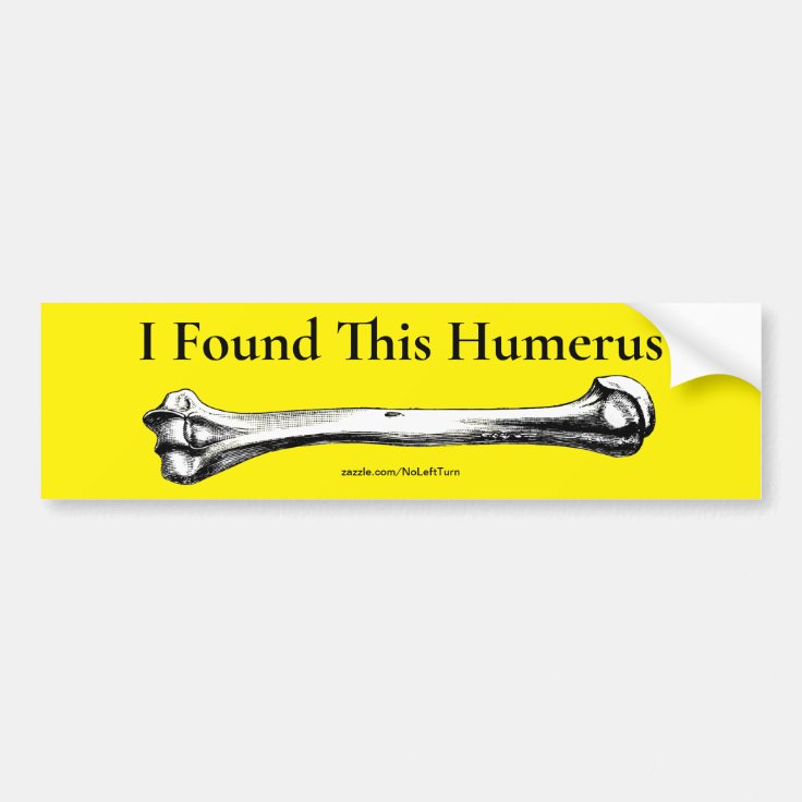 I Found This Humerus Bumper Sticker | Zazzle