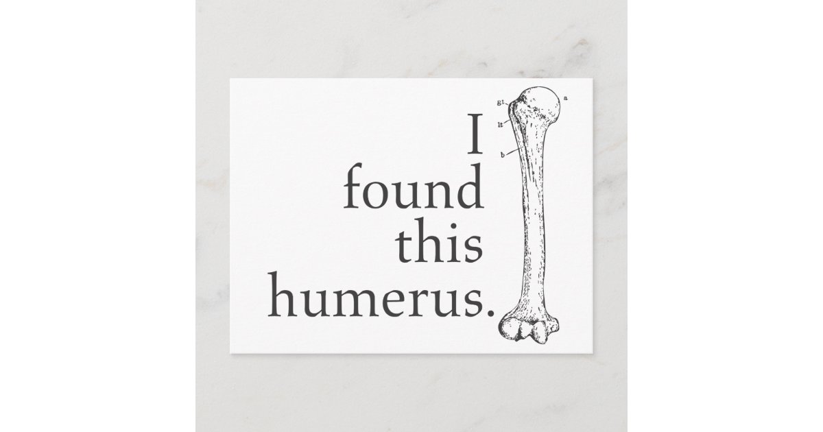 I Found This Humerus Postcard | Zazzle