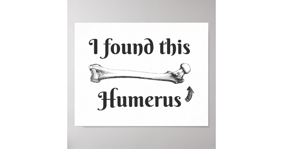 I Found This Humerus Science Joke Poster | Zazzle