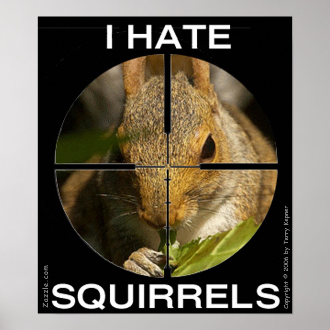 I Hate Squirrels - In the Scope - Poster | Zazzle