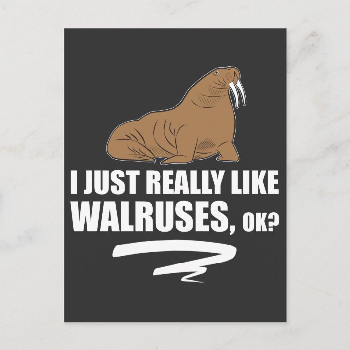 I Just Really Like Walruses OK - Funny Walrus Postcard | Zazzle.com
