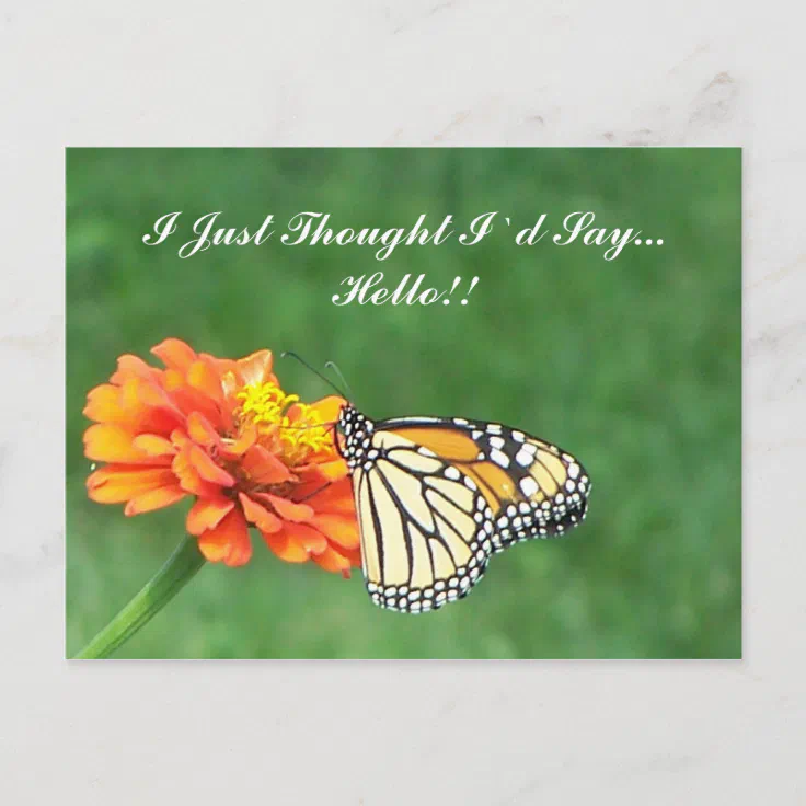 I Just Thought I`d Say... Hello!! Postcard | Zazzle