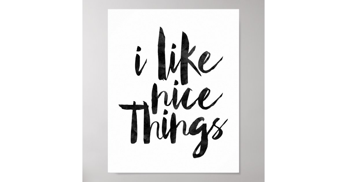 I Like Nice Things Poster | Zazzle