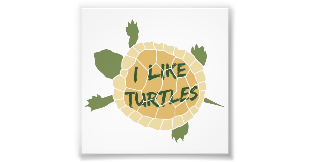 I Like Turtles Photo Print | Zazzle