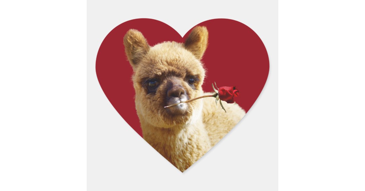 I Love Alpacas Heart Stickers for Animal Lovers | Zazzle