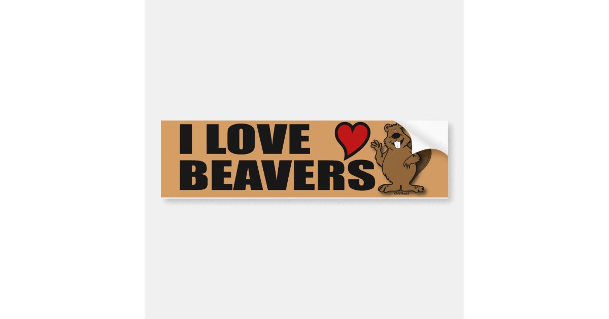 I Love Beavers Bumper Sticker | Zazzle