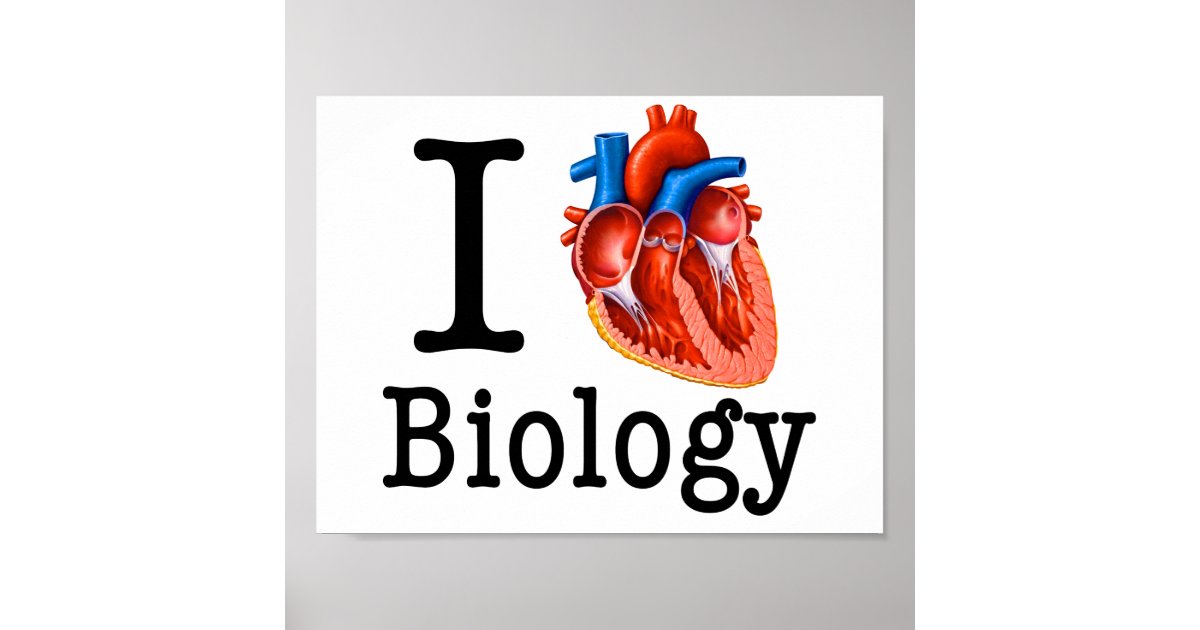 I Love Biology Poster | Zazzle