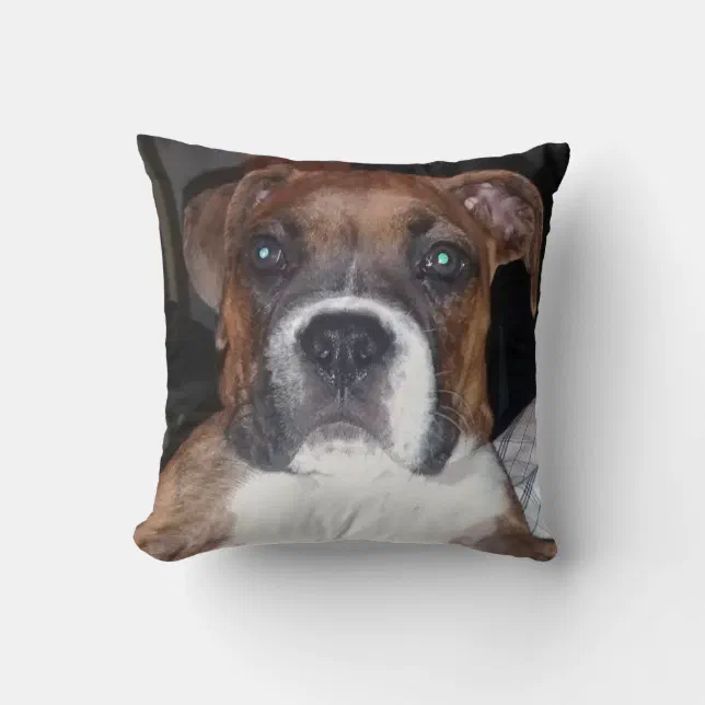 I LOVE BOXERS pillow | Zazzle