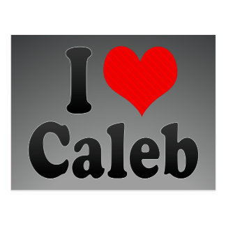 I Love Caleb Gifts - T-Shirts, Art, Posters & Other Gift Ideas | Zazzle