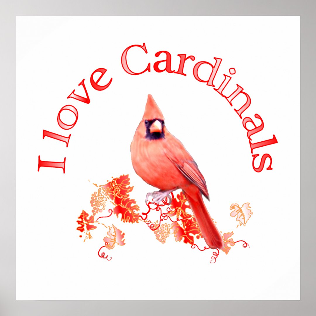 I Love Cardinals Poster | Zazzle