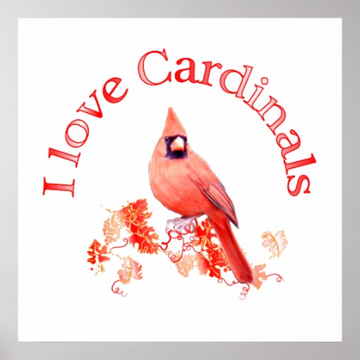 I Love Cardinals Poster | Zazzle