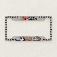 Cat Plates | Zazzle