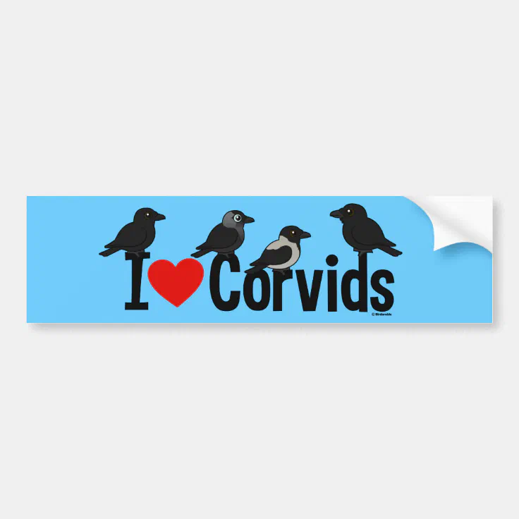 I Love Corvids Bumper Sticker | Zazzle