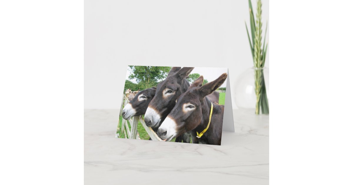 I Love Donkeys! Card | Zazzle