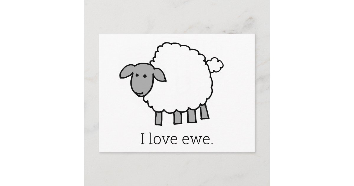 I Love Ewe Sheep Postcard | Zazzle