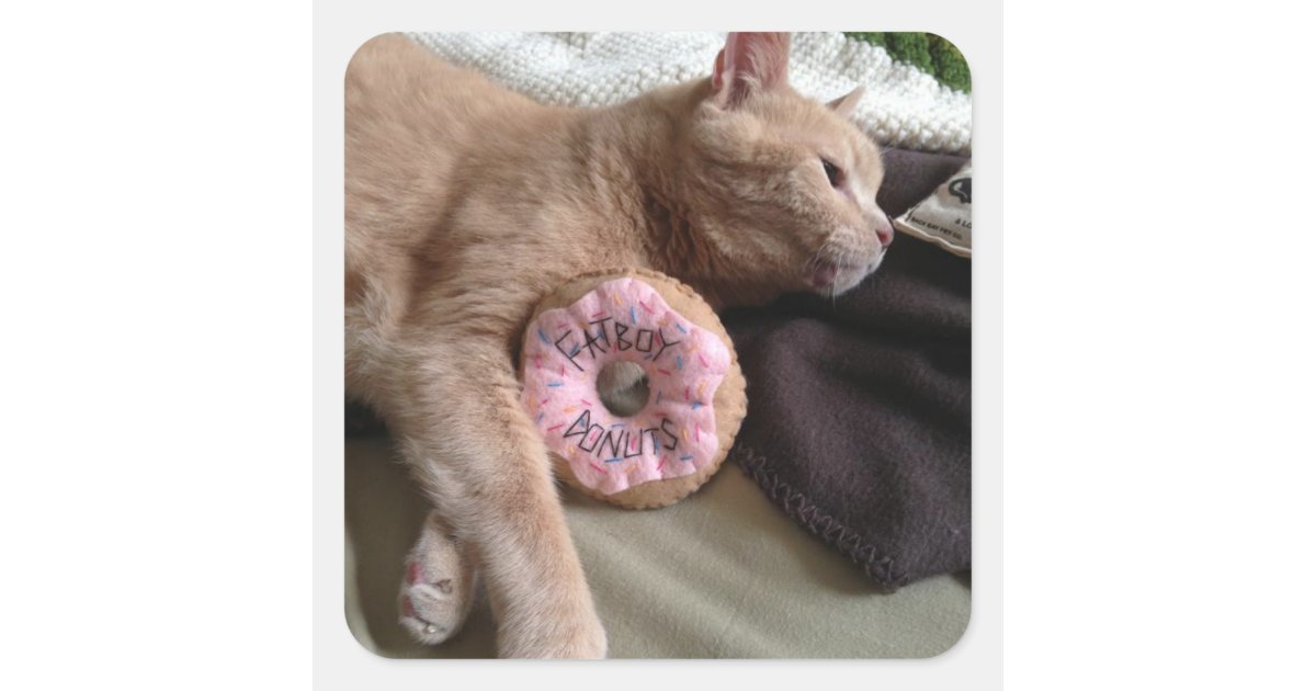 I Love Fatboy's Donuts! Square Sticker | Zazzle