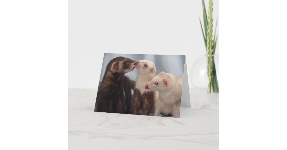 I Love Ferrets Card | Zazzle