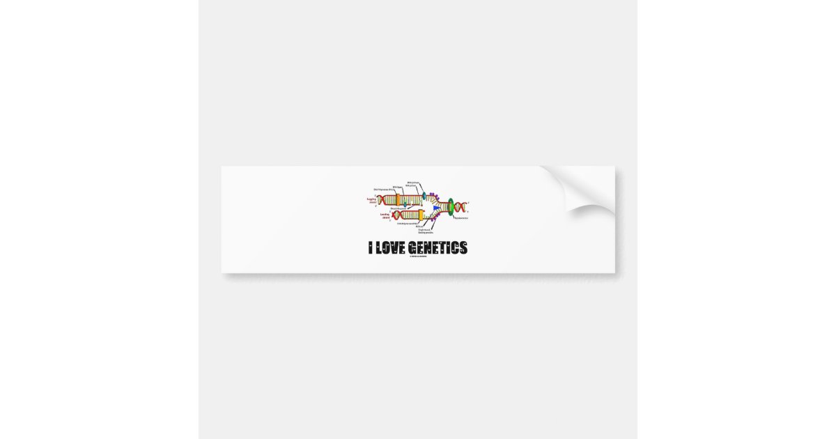 I Love Genetics (DNA Replication) Bumper Sticker | Zazzle