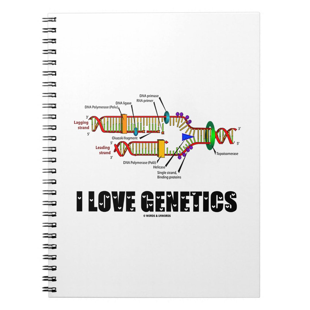 I Love Genetics (DNA Replication) Notebook | Zazzle