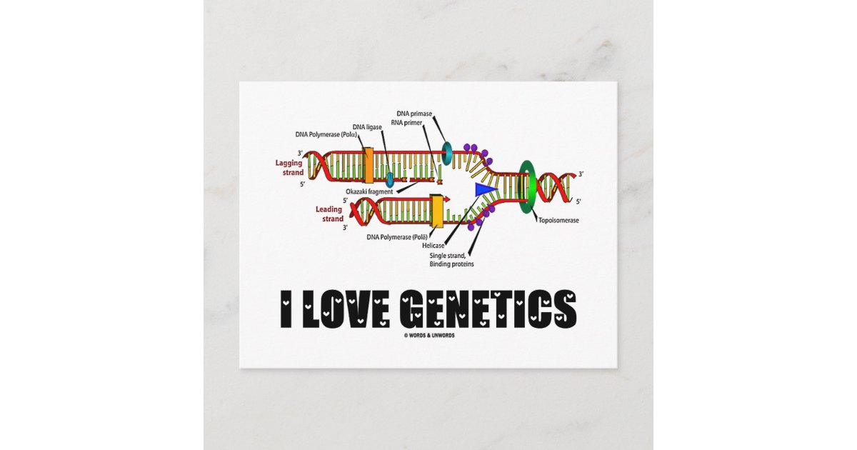 I Love Genetics (DNA Replication) Postcard | Zazzle