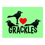 Cute Common Grackle by Birdorable