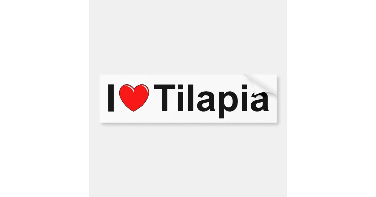 I Love (Heart) Tilapia Bumper Sticker | Zazzle