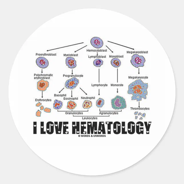 I Love Hematology (Blood Cell Lineage) Classic Round Sticker | Zazzle