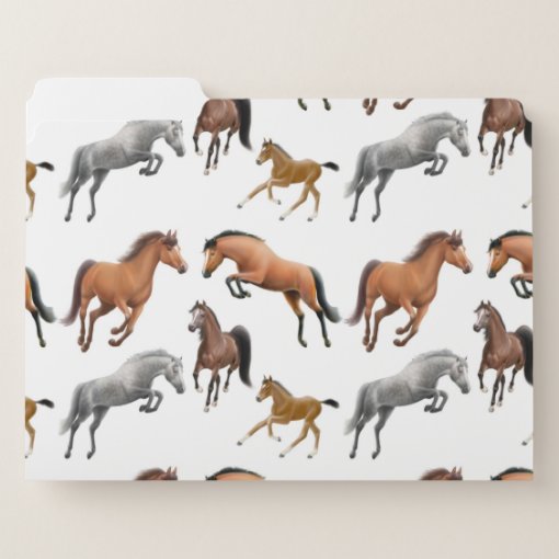 I Love Horses File Folders | Zazzle