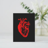 I love / I heart heart anatomy Postcard | Zazzle