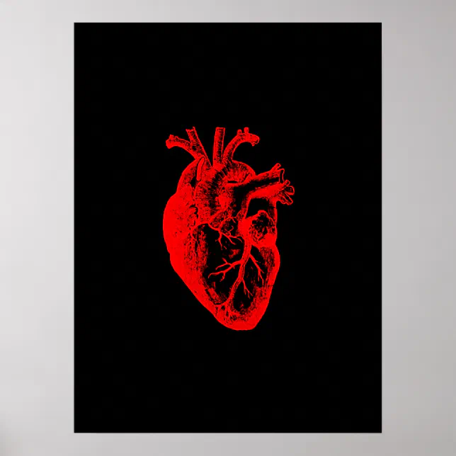 I love / I heart heart anatomy Poster | Zazzle