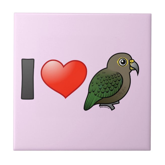 Kea, the Sheep-eating Parrot in Parrots