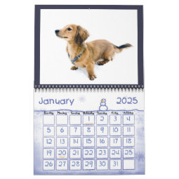 I LOVE long haired MINIATURE DACHSHUNDS Calendar | Zazzle