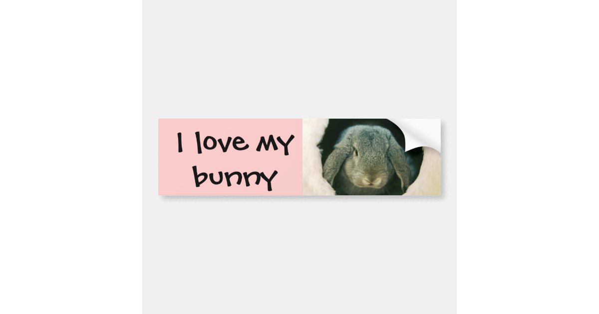 I love my bunny bumper sticker | Zazzle