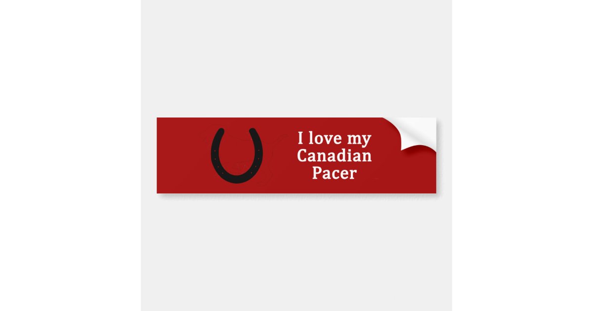 I Love My Canadian Pacer Horse Bumper Sticker | Zazzle