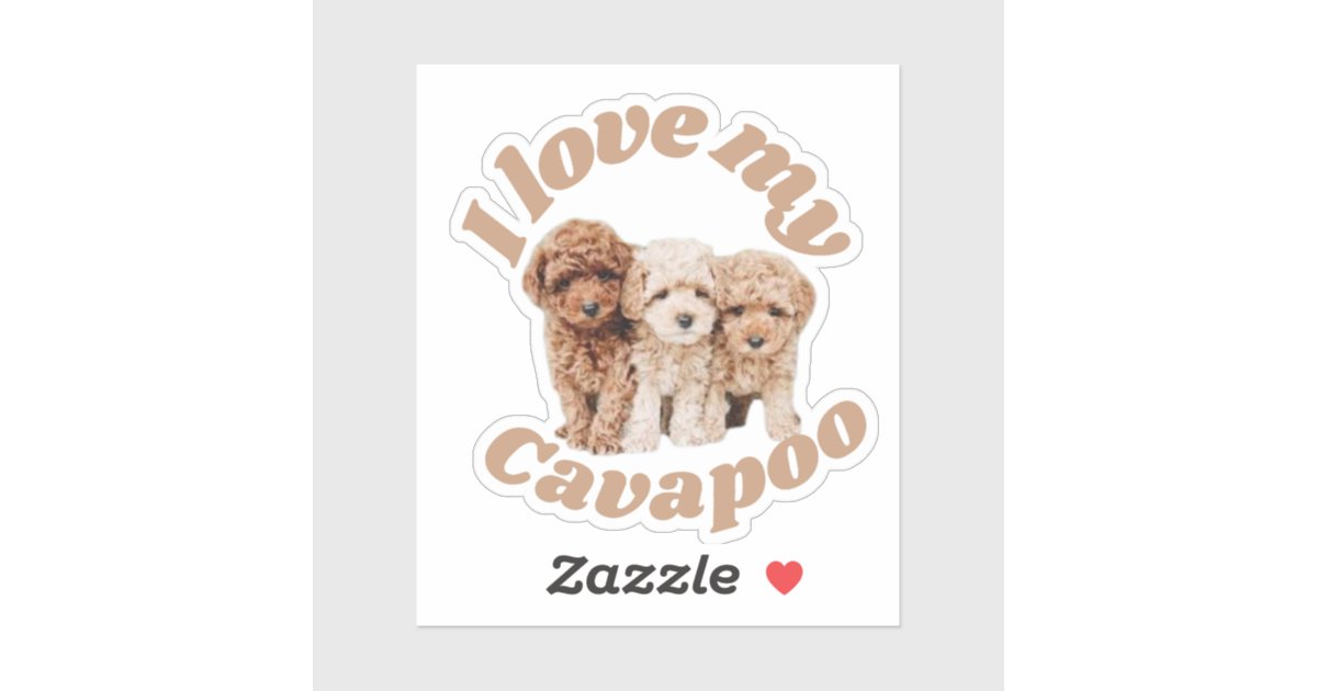 I Love My Cavapoo Dog Lover Cavoodle Owner Sticker | Zazzle
