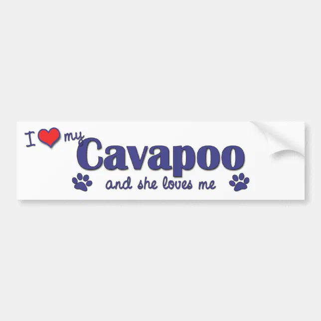 I Love My Cavapoo (Female Dog) Bumper Sticker | Zazzle