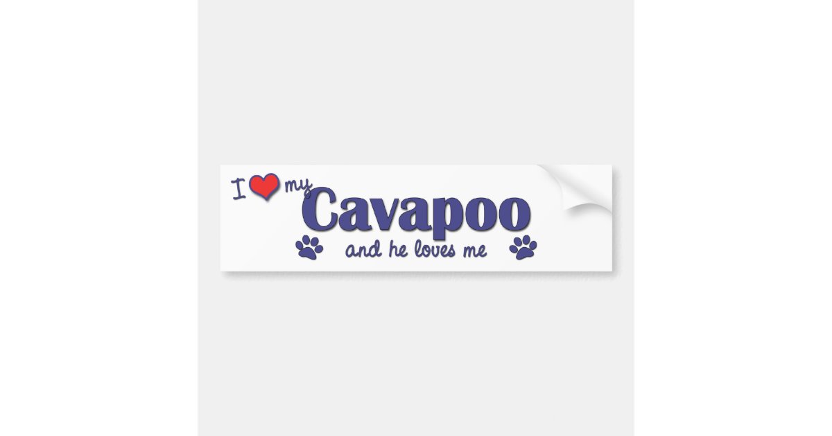 I Love My Cavapoo (Male Dog) Bumper Sticker | Zazzle