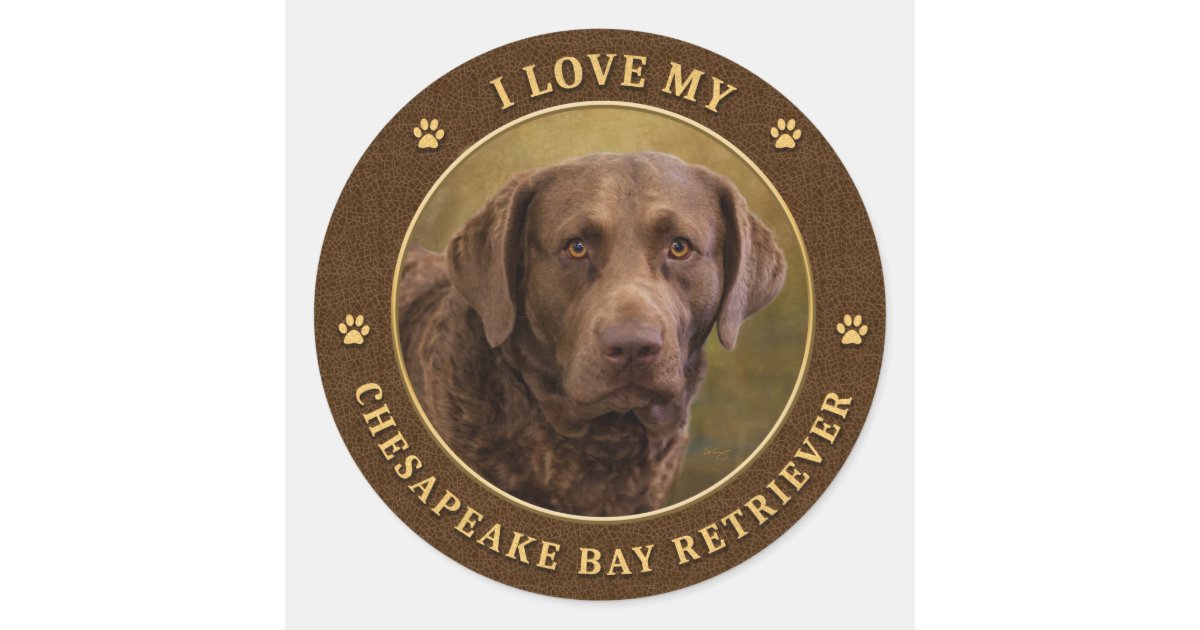 I Love My Chesapeake Bay Retriever Round Stickers | Zazzle