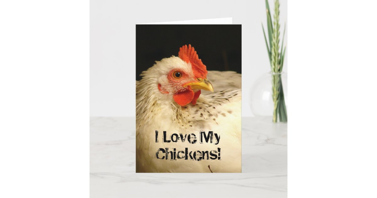 I Love My Chickens! Card | Zazzle