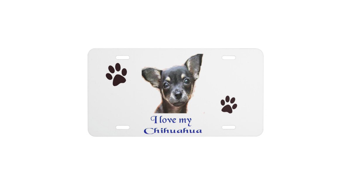 I love my Chihuahua License Plate | Zazzle