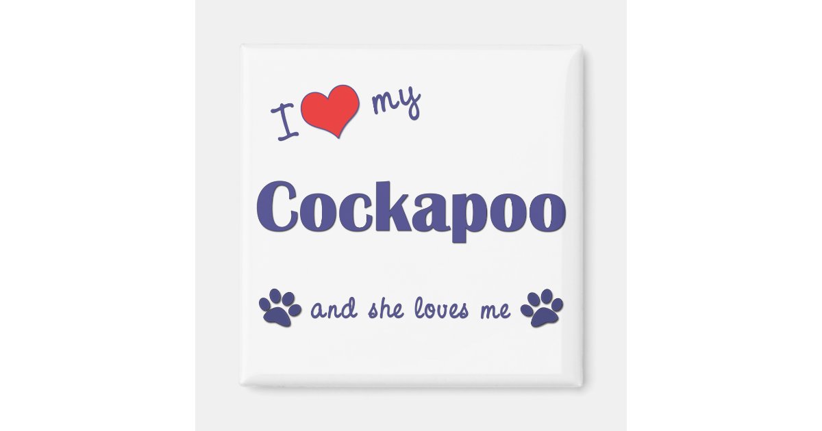I Love My Cockapoo (Female Dog) Magnet | Zazzle