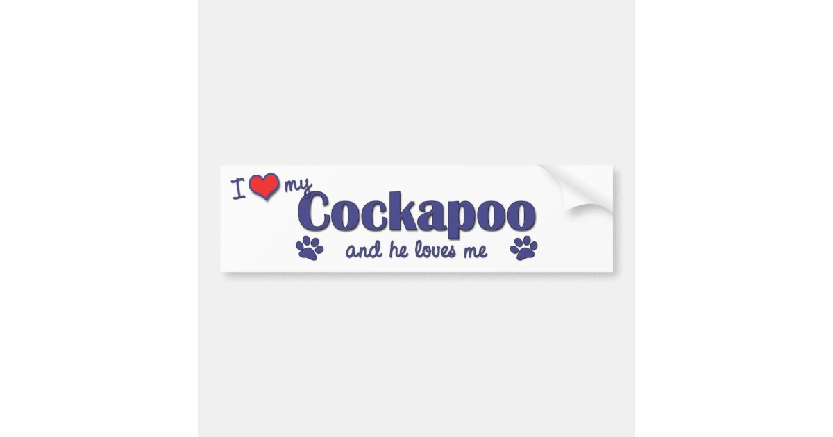 I Love My Cockapoo (Male Dog) Bumper Sticker | Zazzle