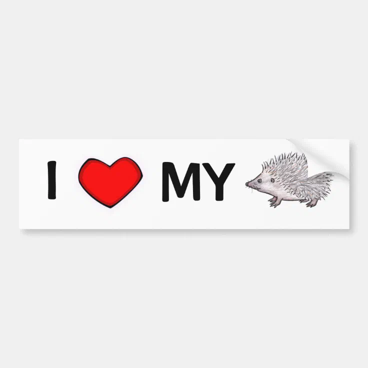 I Love My Hedgehog Bumper Sticker | Zazzle