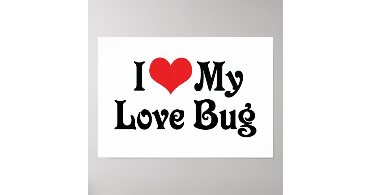 I Love My Love Bug Poster | Zazzle