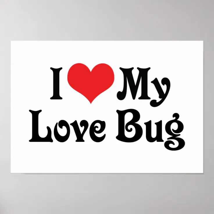 I Love My Love Bug Poster | Zazzle