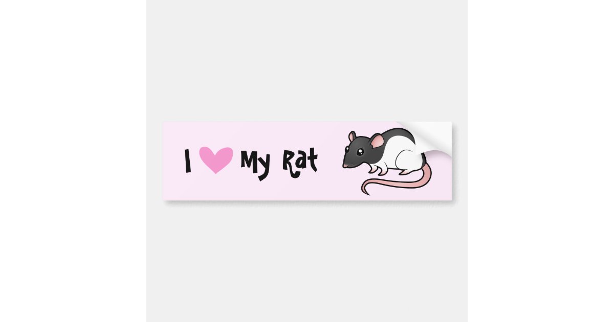 I Love My Rat Bumper Sticker | Zazzle.com