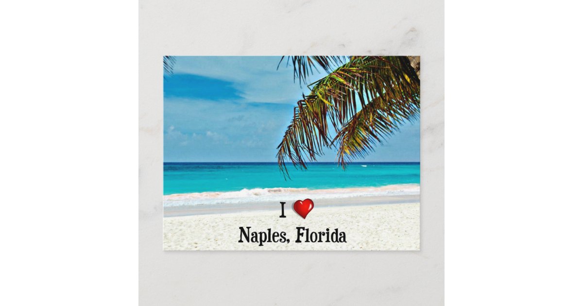 I Love Naples, Florida Postcard | Zazzle