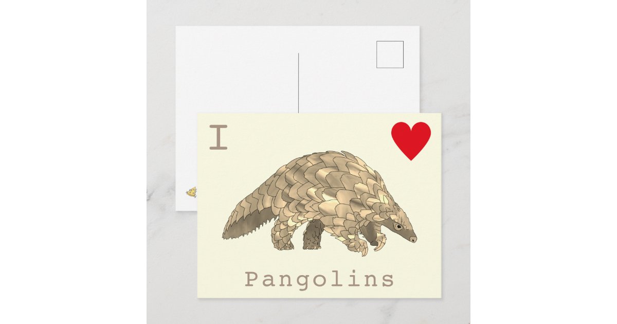 I Love Pangolins rare wildlife slogan Postcard | Zazzle