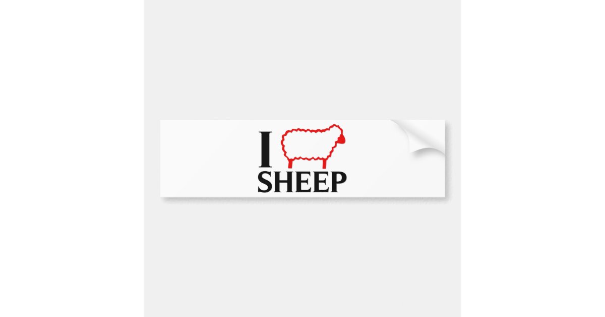 I Love Sheep Bumper Sticker | Zazzle